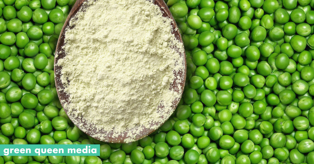 New U.S. Pea Protein Facility: Ingredion Expands ‘On-Trend’ Plant-Based ...