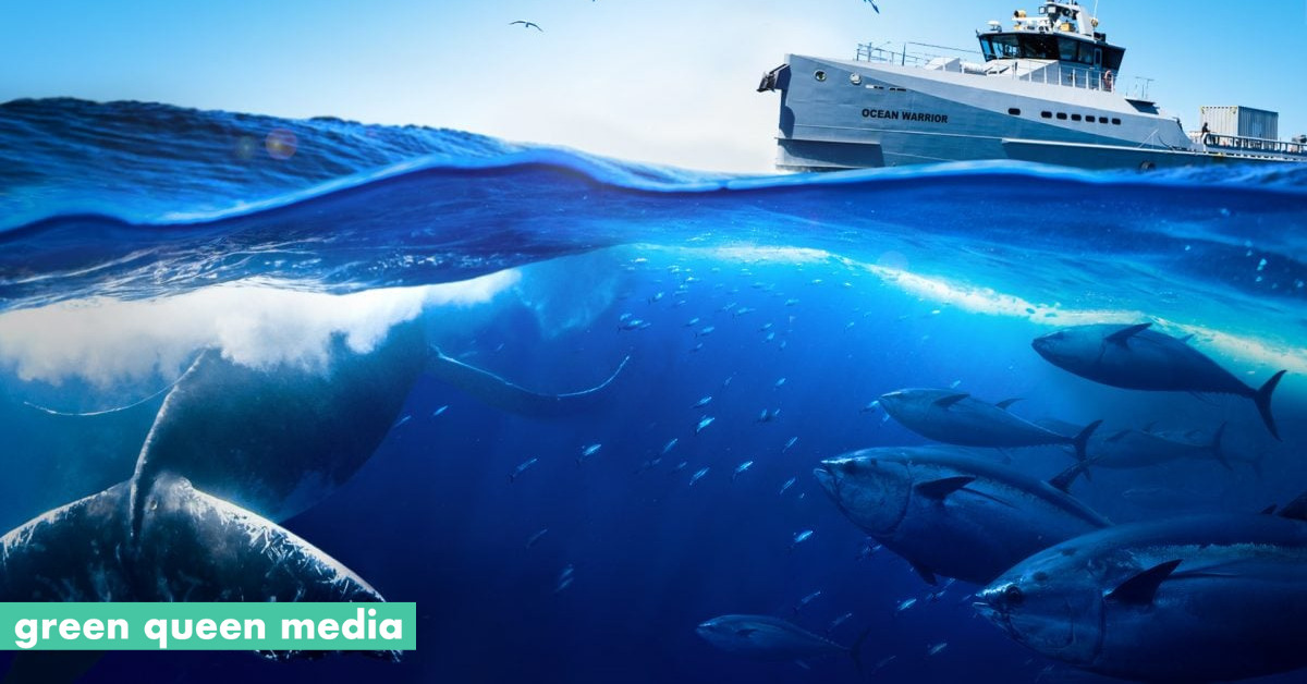 Seaspiracy Response: Here's What NGOs & Other Organizations Are Saying ...