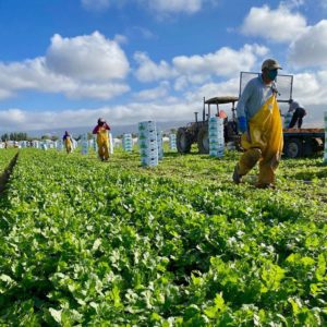 ‘Ugly’ Produce Pioneer Imperfect Foods Pledges To Reach Net-Zero By 2030