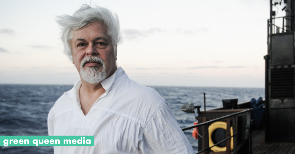 Exclusive: Sea Shepherd Founder Captain Paul Watson ‘Whether It's 2048 ...