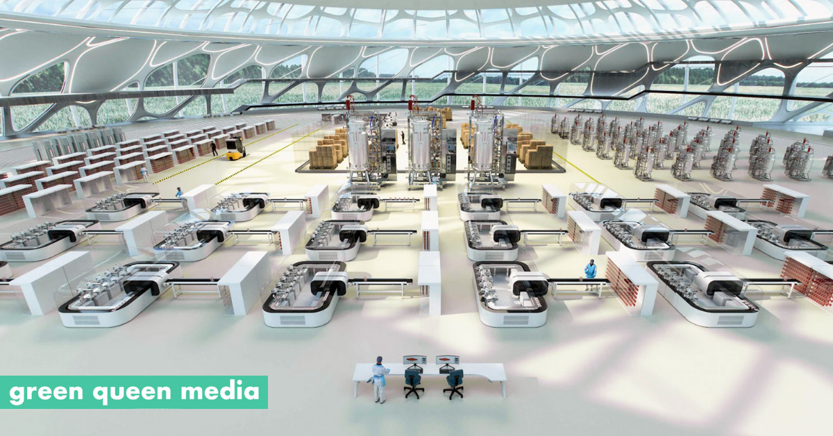 MeaTech To Open Pilot Plant In Europe To Produce Cultured Chicken Fat ...