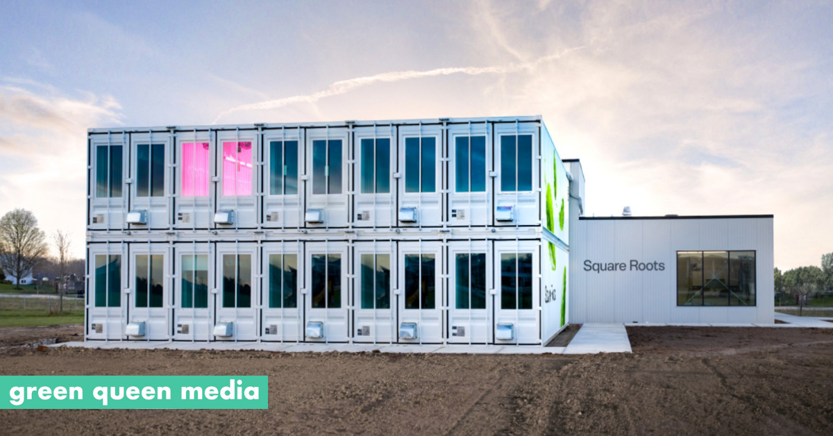 Square Roots: Indoor Farming Firm Expands Herbs Range With New York ...