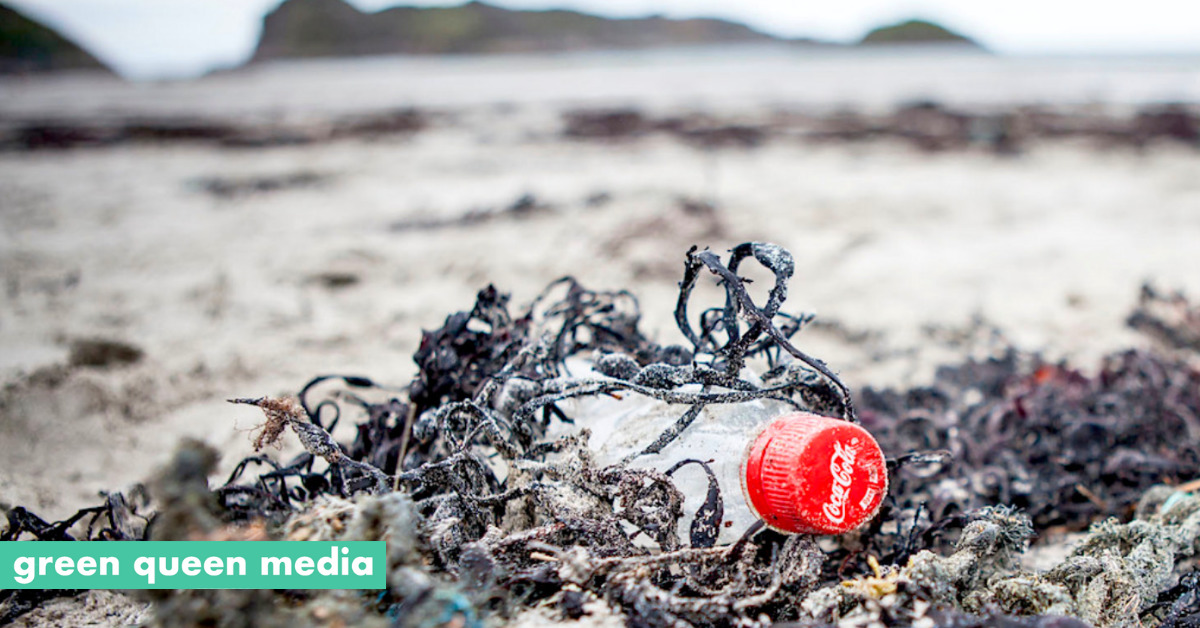 Earth Island Sues Coca-Cola Over Greenwashing Claims & False Advertisement