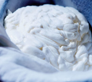 Over 70% of Consumers Want Animal-Free Dairy Cheese, Study Shows