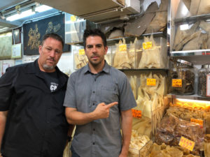 Fin: Leonardo DiCaprio Backs Eli Roth Film Highlighting Global Shark ...