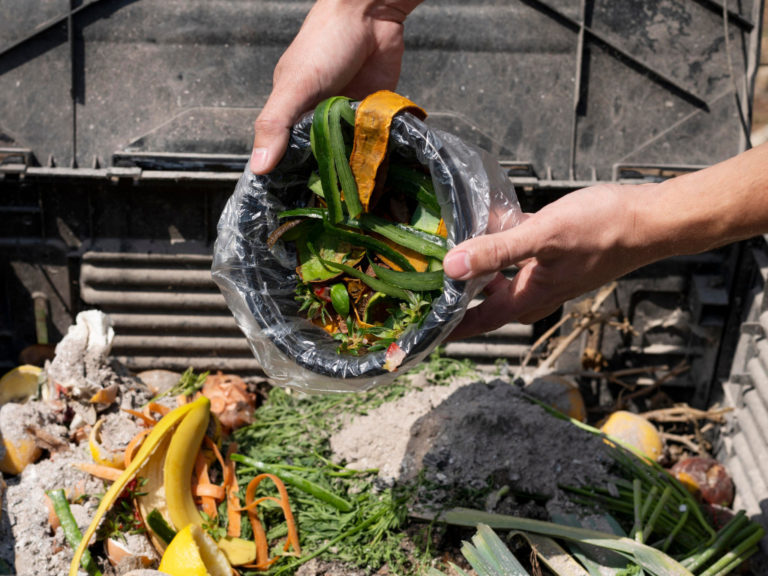 Canadian Biotech To Scale Production Of Bioplastics Made From Organic ...