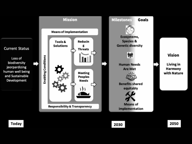 Global Biodiversity Framework Aims To Protect 30% Of Earth's Ecosystems ...