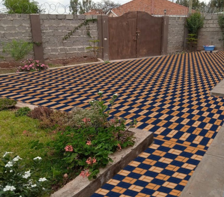 Nzambi Matee Transforms Kenya's Plastic Waste Into Building Bricks