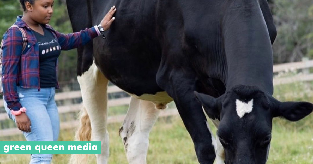 UN Food Systems Secretariat Steps In After Dairy Industry Silenced Teen ...