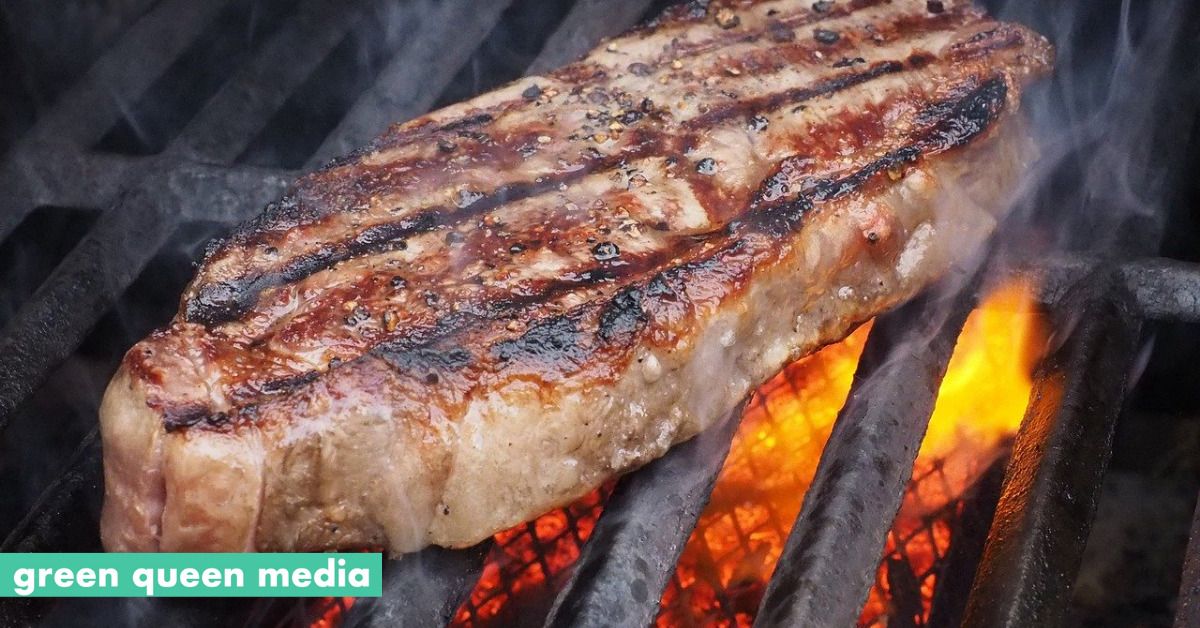 MeaTech Files US Patent For FBS-Free, Affordable Cultured Fat