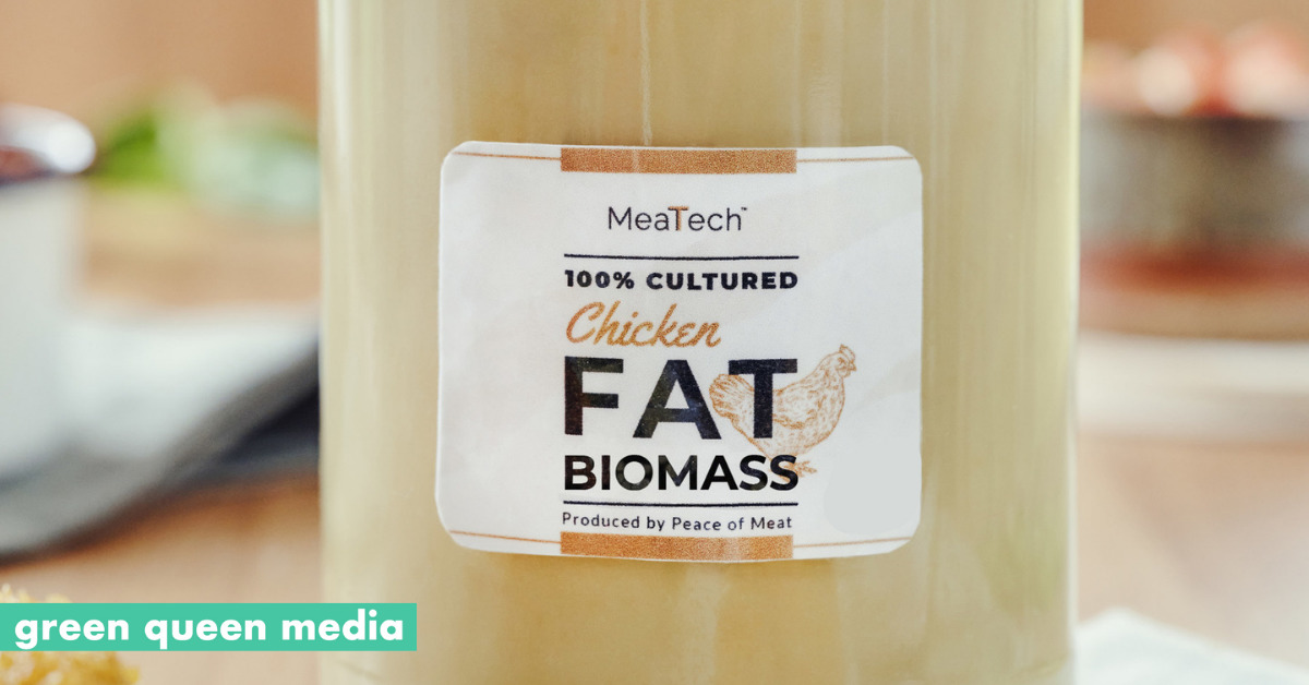 Peace of Meat & Enough Partner To Create Hybrid Mycoprotein Chicken ...