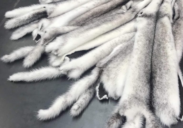 This Dutch Biomaterial Startup Just Created Cell-Based Animal Fur