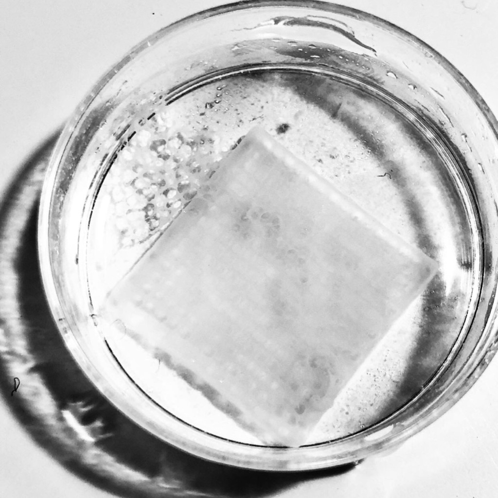 This Dutch Biomaterial Startup Just Created Cell-Based Animal Fur