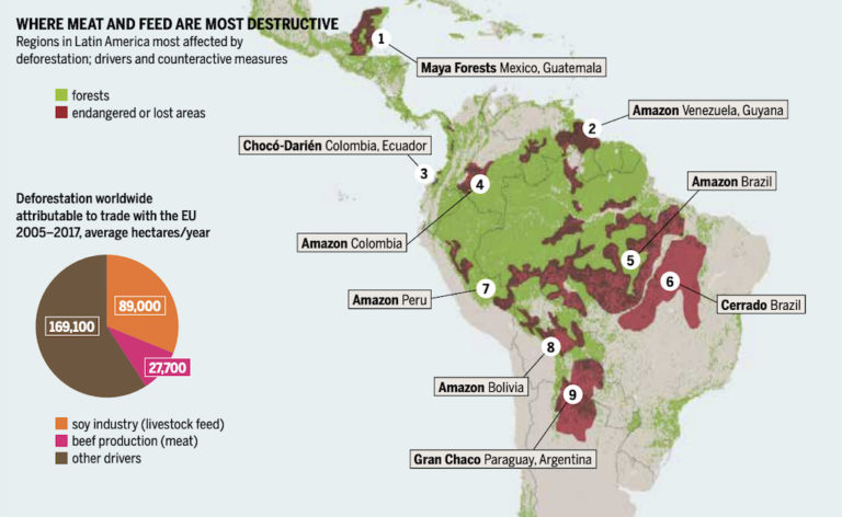5 Meat and Dairy Firms Produce More Emissions Than Big Oil, New ‘Meat ...