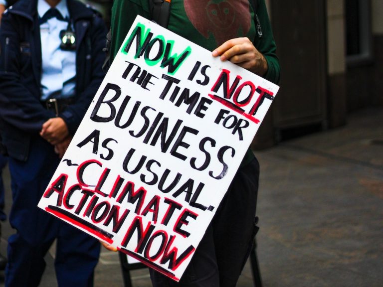 BlackRock: The Next Big Tech Unicorns Will Be Climate-Focused