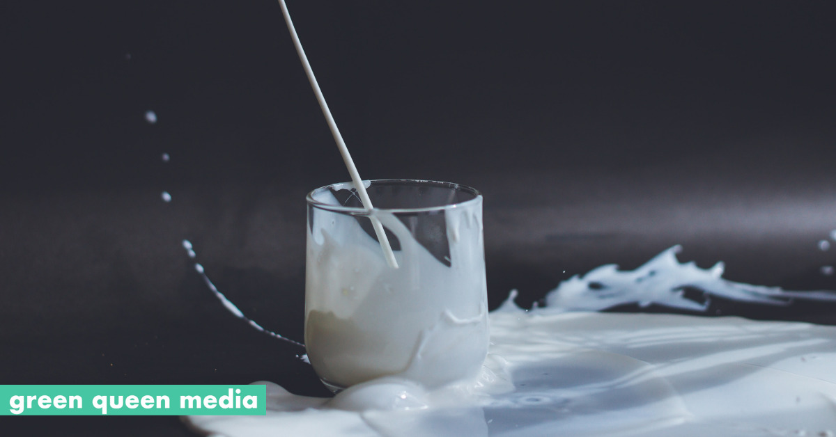 These 4 Startups Are Joining The World’s First Alternative Dairy Incubator