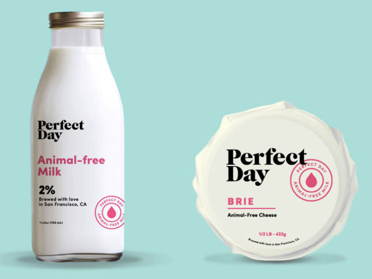 Perfect Day's Dairy-Identical Alt Milk Lands at Starbucks