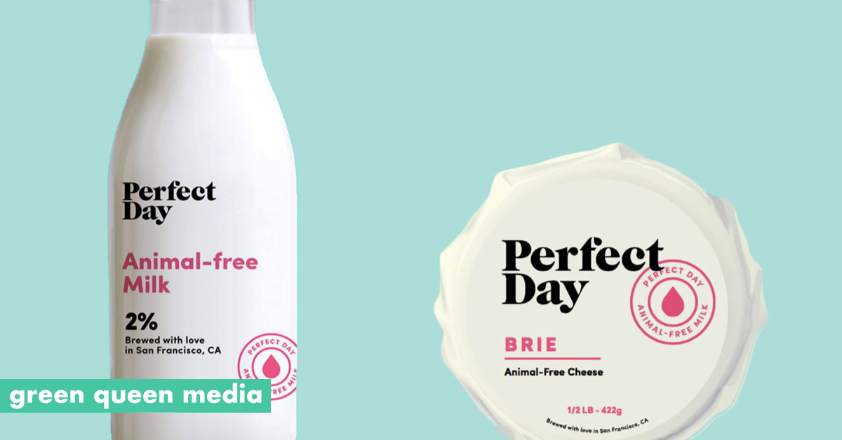 New Animal Free Dairy Unicorn Perfect Day Raises $350M in Pre-IPO Round