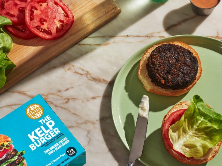 Akua's Kelp Burgers Get the SpongeBob Treatment to Support Nickelodeon ...