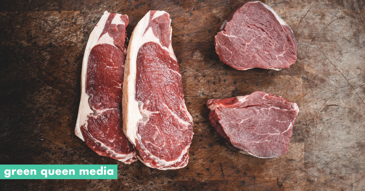 Ark Biotech Is Scaling Infrastructure For The Cultivated Meat Sector ...