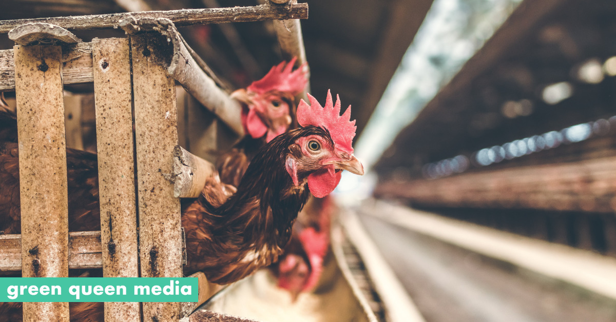 New Consumer Survey Highlights Knowledge Gap In People Who Unwittingly ...