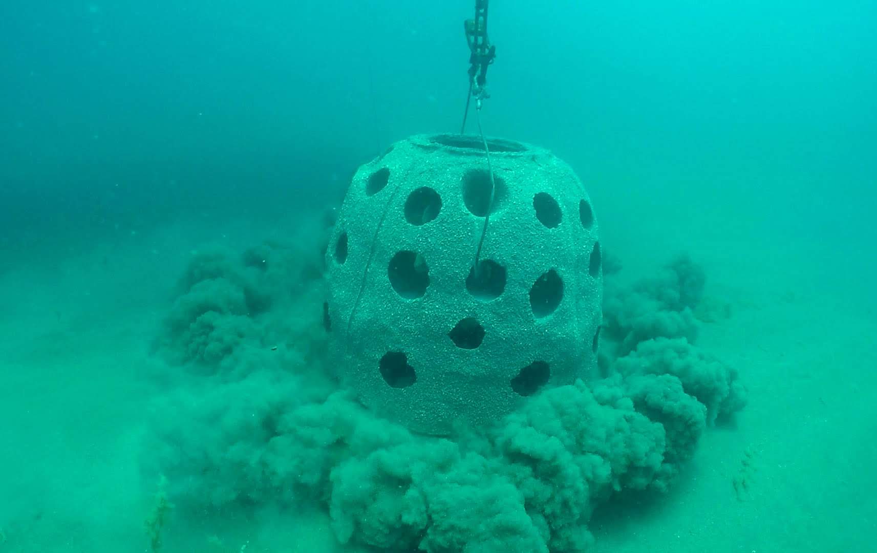 Should You Be Buried In a Reef Ball? Why This Burial Option May Be the ...