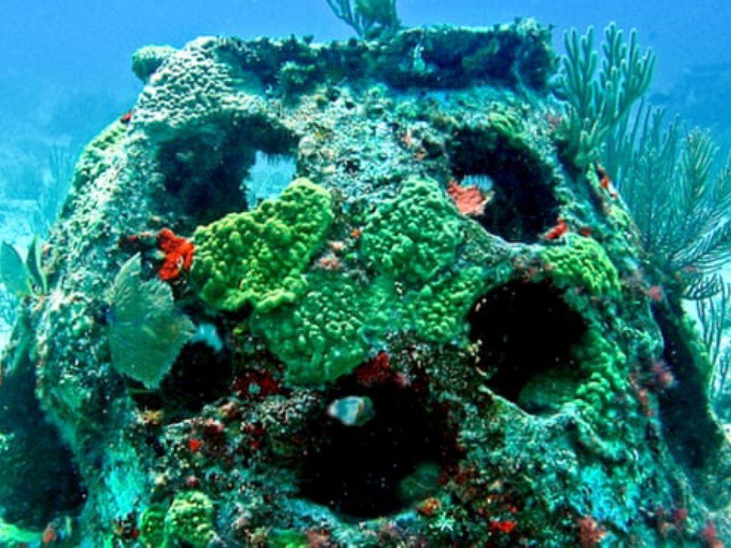 reef balls - Green Queen