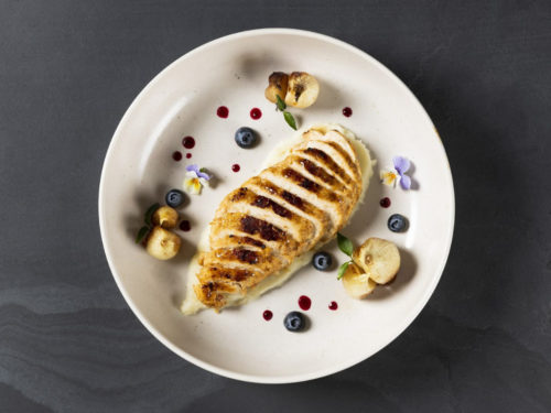 Israeli Food Giant Tnuva Continues Its Alternative Protein Journey With ...