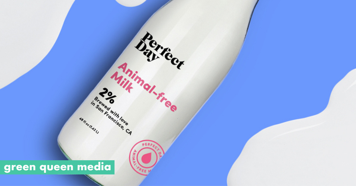 What Is Nestlé Cooking Up With Perfect Day's Precision Fermentation Whey?