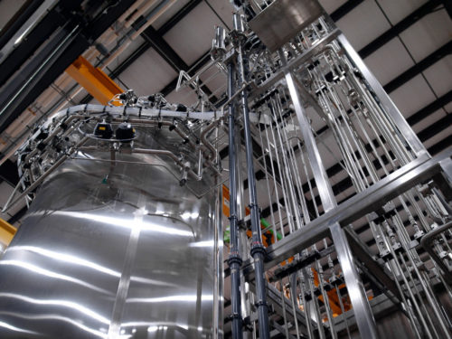 Singapore Approves Good Meat's Serum-Free Media In a Cultivated Meat First