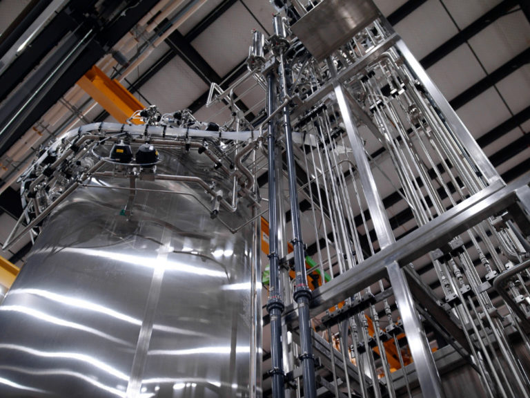 Singapore Approves Good Meat's Serum-Free Media In a Cultivated Meat First