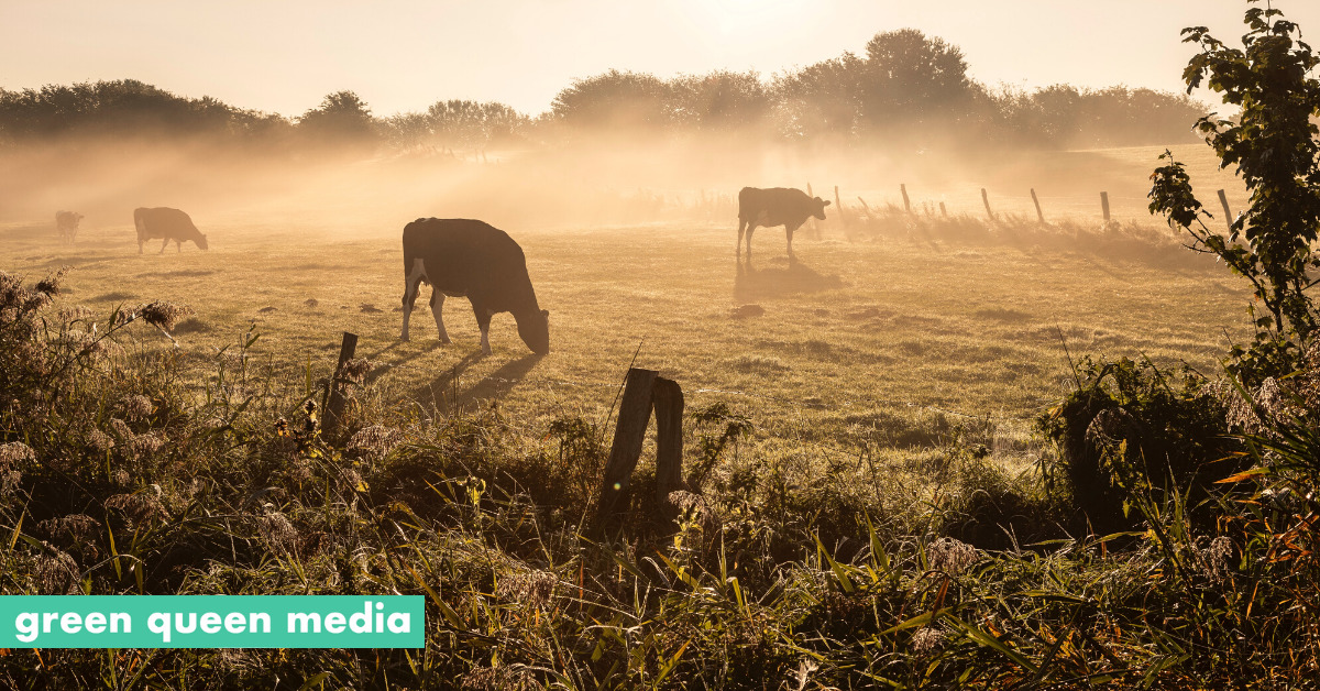 Tomorrow Farms Raises $8.5 Million for Sustainable 'Next-Gen' Foods