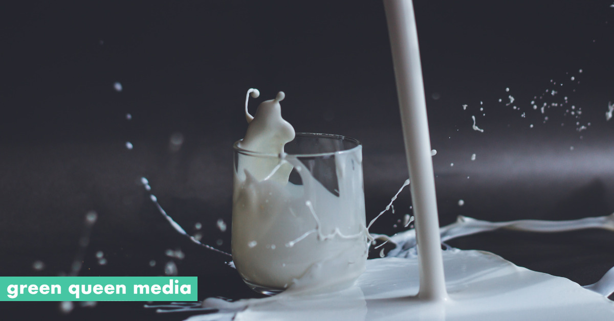 Brown Foods Unveils Cultivated Milk Developed In Under Three Months