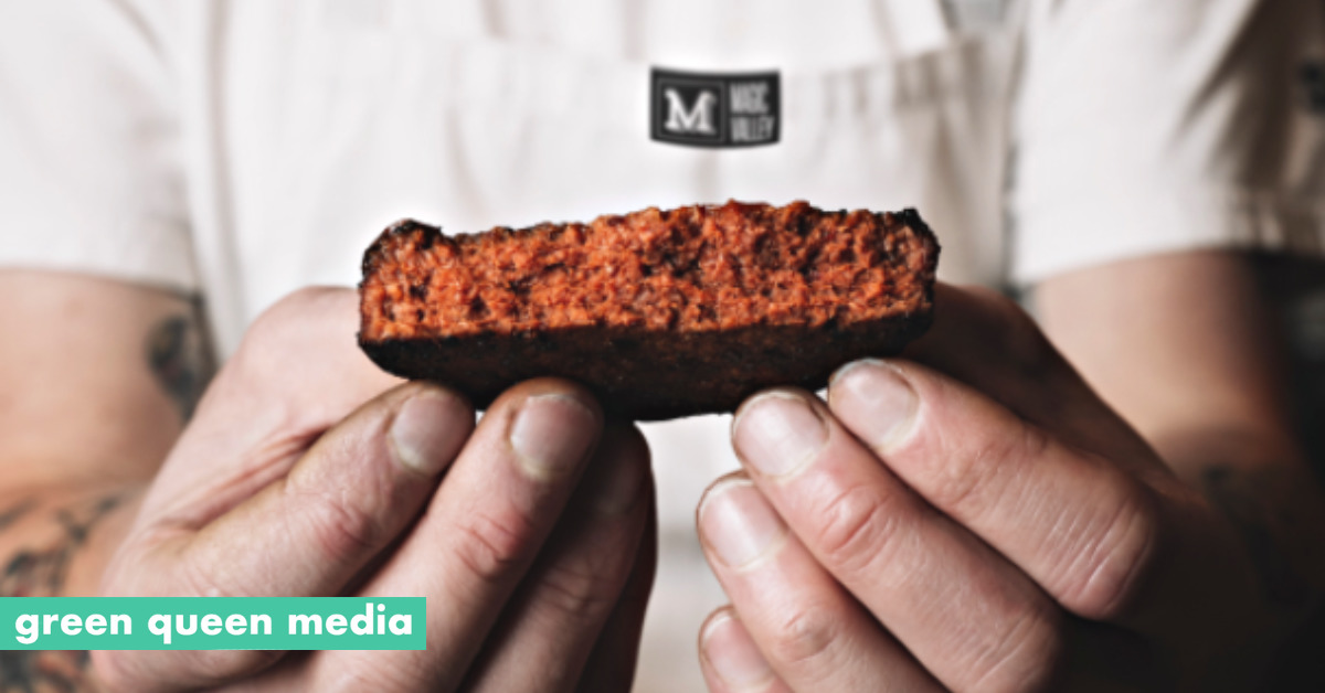 Magic Valley and Biocellion Partner to Develop the Future of Cultivated ...