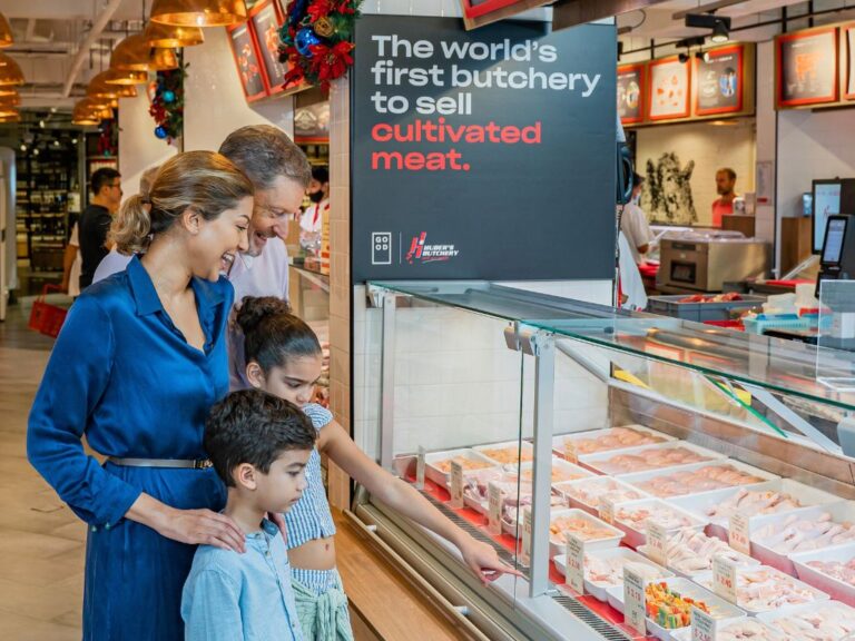 Singapore Approves Good Meat's Serum-Free Media In a Cultivated Meat First