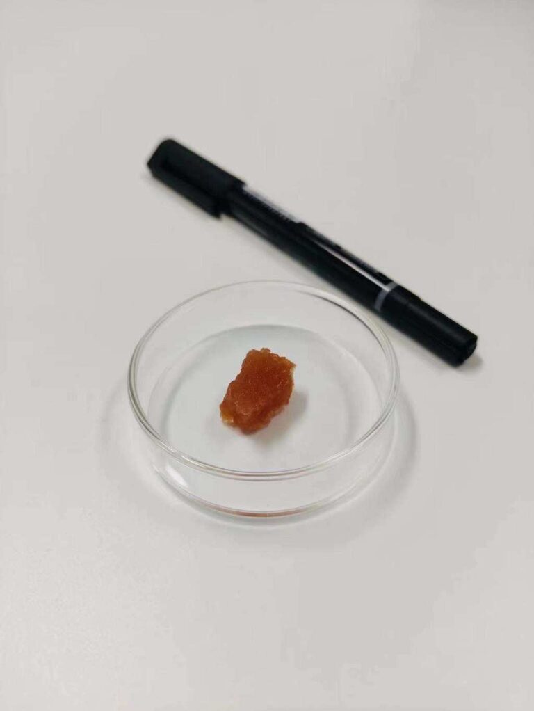 Jimi Biotech Debuts China's First Cultivated Chicken