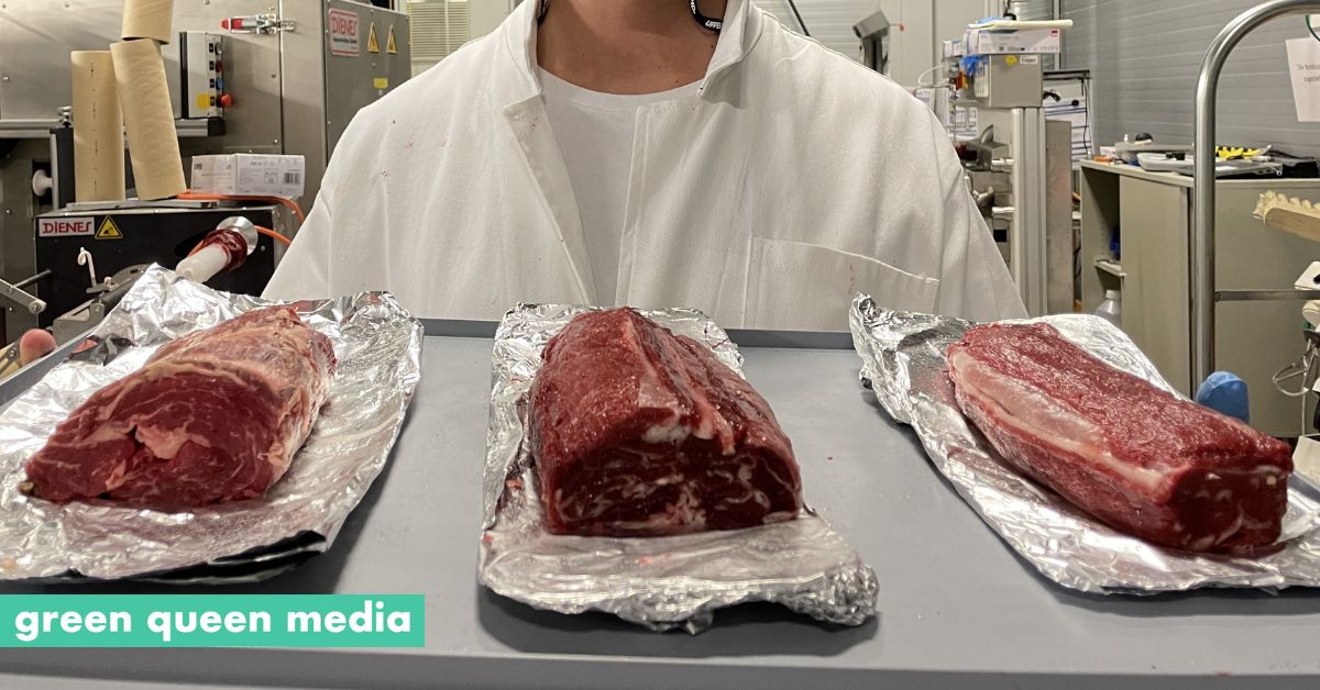 Project Eaden Lands €10M for Vegan Steak That Eliminates 'Every Single ...