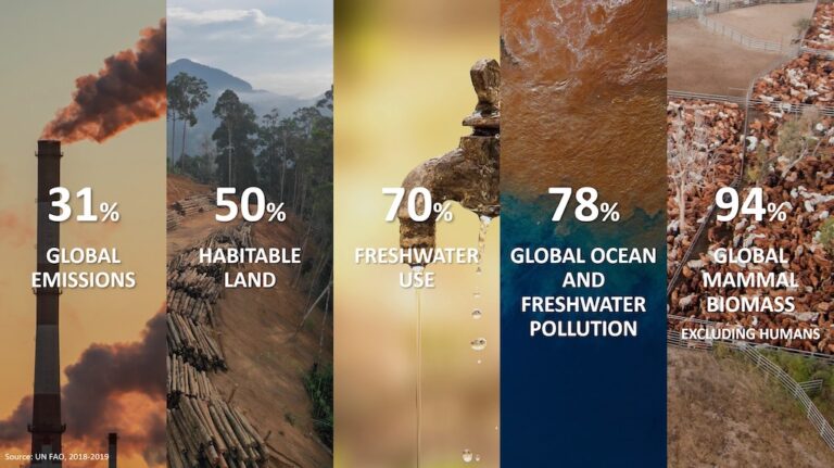 If We Build It, Will They Come?