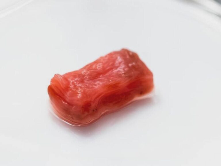 Path to Price Parity: Ark Biotech's Plan for Affordable Cultivated Meat