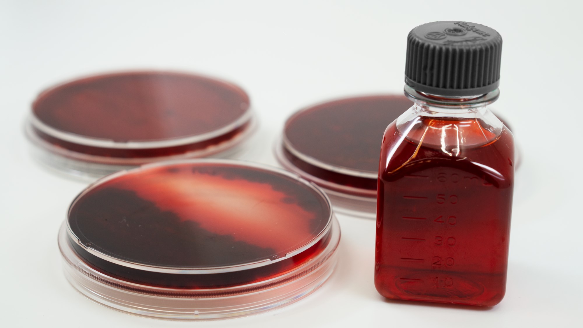 General Mills Backs $6.4 Million Seed Round for Food Coloring Made From ...