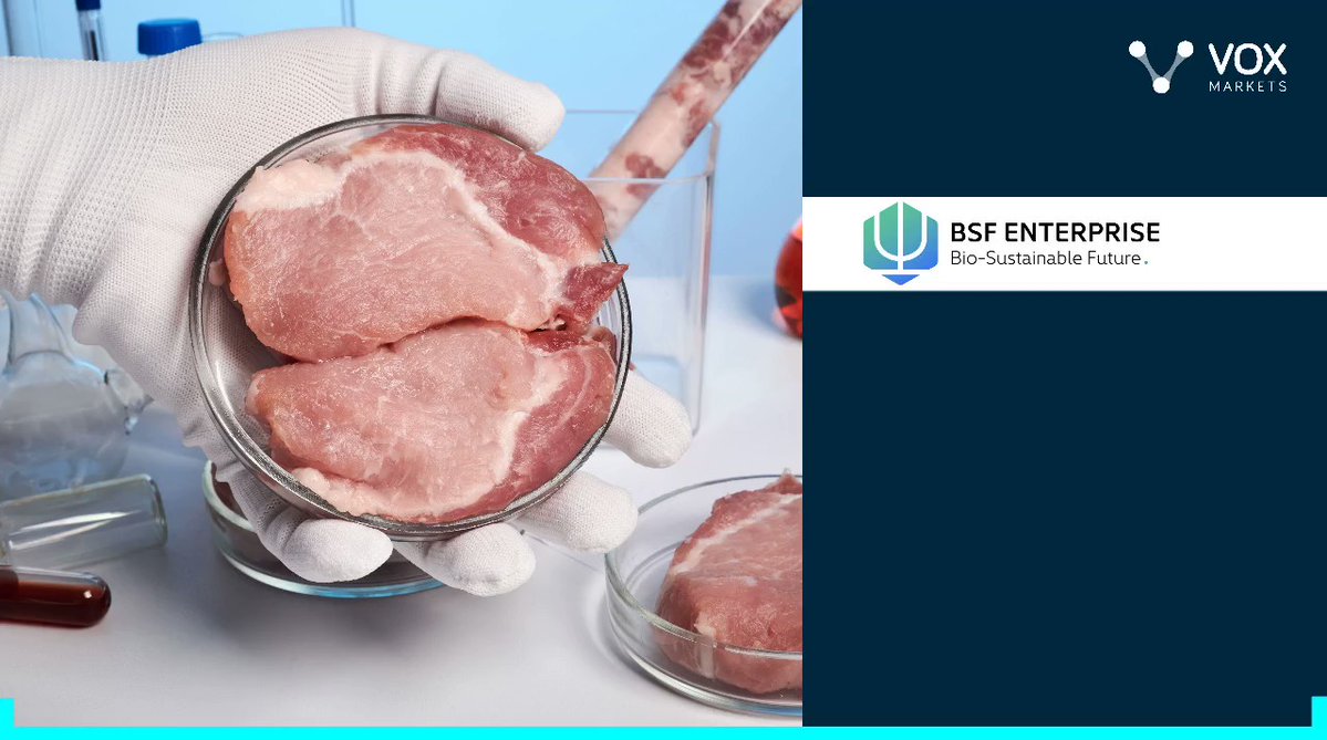 pork-steak - Green Queen