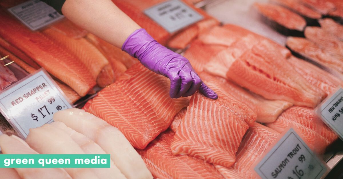 Upstream Foods Says Cultivated Fat Will Help Plant-Based Seafood Market Surge