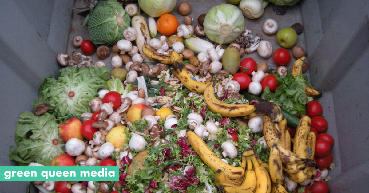 Food Waste Makes Up 50% of Global Food Emissions, Study Finds