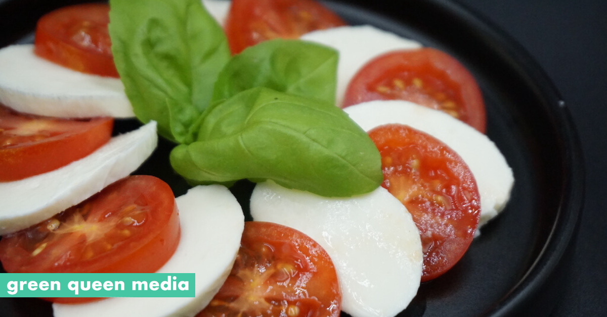 Fermify Expands Seed Round, Accelerates Animal-Free Cheese Development