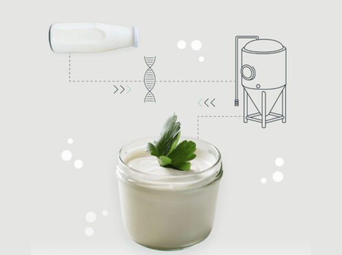 Vivici: First EU Startup to Earn Self-Affirmed GRAS for Precision ...