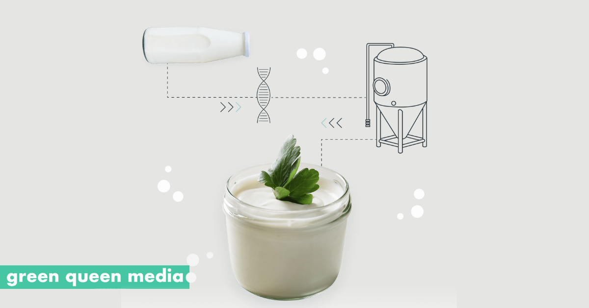 Vivici to Launch Precision-Fermented Beta-Lactoglobulin Protein in 2024