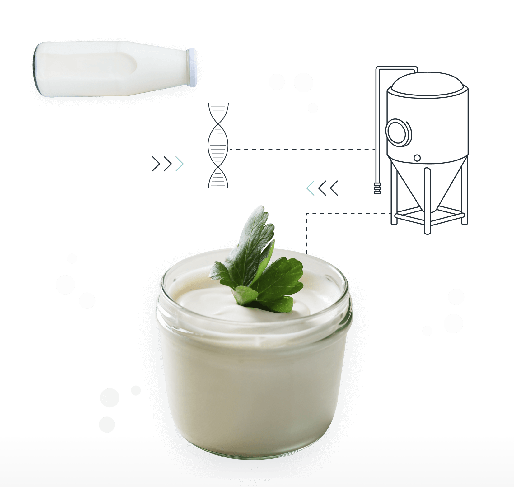 vivici-precision-fermentation-dairy - Green Queen