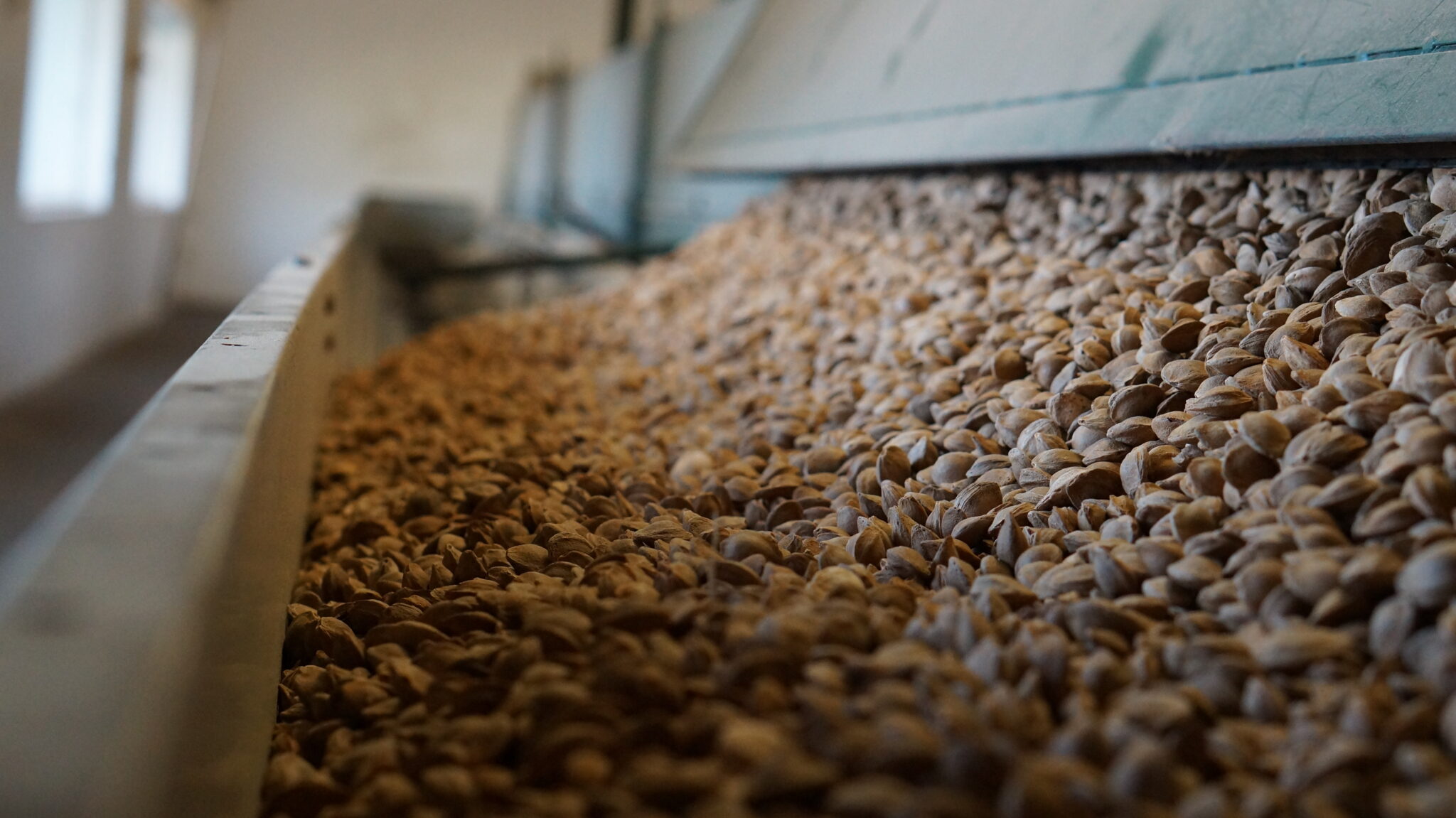 Fruit Kernel Milk: Kern Tec Lands €12M in Series A, Eyes US Launch
