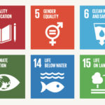 sdg18-un-sustainable-development-goals-animal-welfare-1 - Green Queen