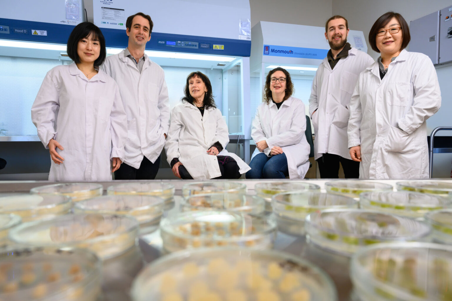 Lab-Grown Fruit: What Is It, and Can It Be the Future of Food?
